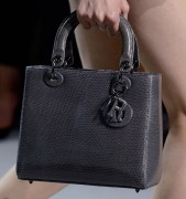 Fashion Week Handbags: Christian Dior Spring 2012 - PurseBlog