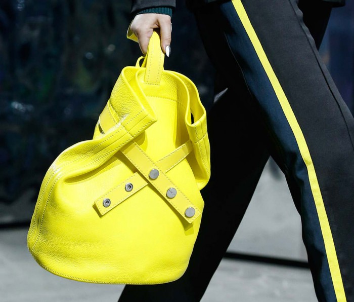 The 15 Best Runway Bags of Paris Fashion Week Fall 2015 - PurseBlog