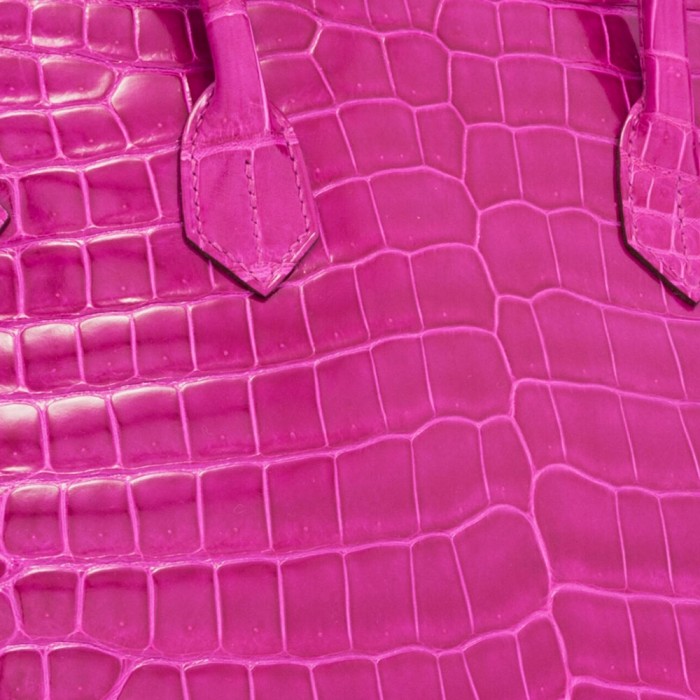 Beyond the Ordinary: A Guide To Hermès’ Exotic Leathers - PurseBlog