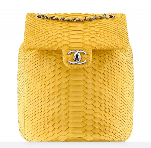 Chanel Pre-Collection Spring 2016 Bags are Here; Check Out All the Pics ...