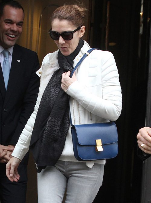 The Many Bags Of Céline Dion | PurseBlog