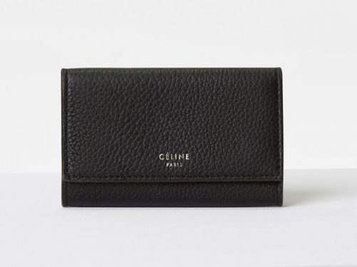 Check Out Céline’s Summer 2018 Small Leather Goods Lookbook, Complete ...