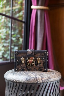 A Closer Look at the Louis Vuitton Petite Malle Bag - PurseBlog