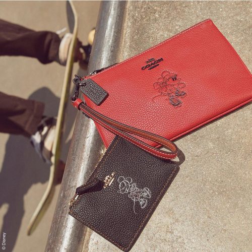 Coach Just Released Another Collaboration With Disney - PurseBlog