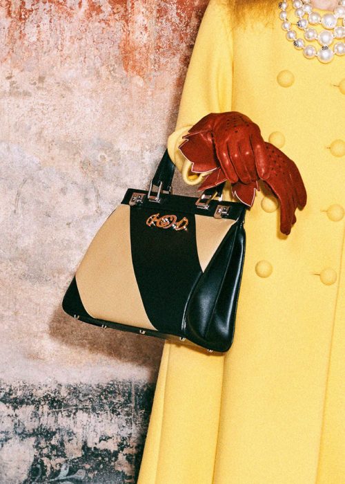 Your First Look at Gucci’s Pre-Fall 2019 Bags - PurseBlog