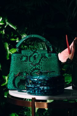 A Look Into The Magical World Of Louis Vuitton Exotics - PurseBlog