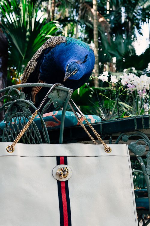 A Close Look at Gucci’s New Slim, Sleek Everyday Tote - PurseBlog