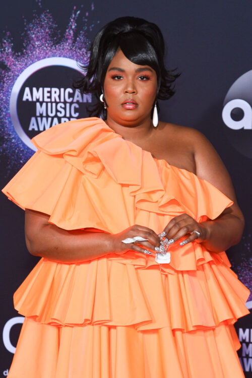 The Many Bags of Lizzo - PurseBlog