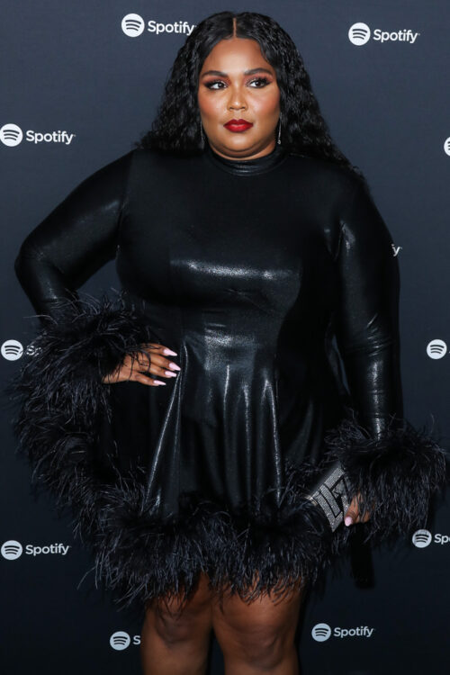 The Many Bags of Lizzo - PurseBlog