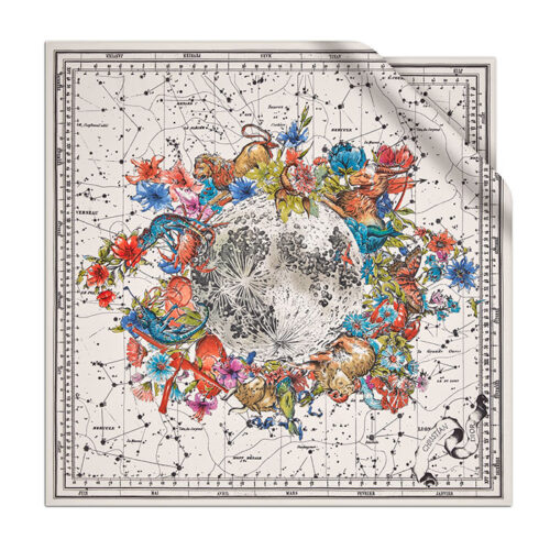 Dior Zodiac and Constellation Prints for Winter ’21 - PurseBlog