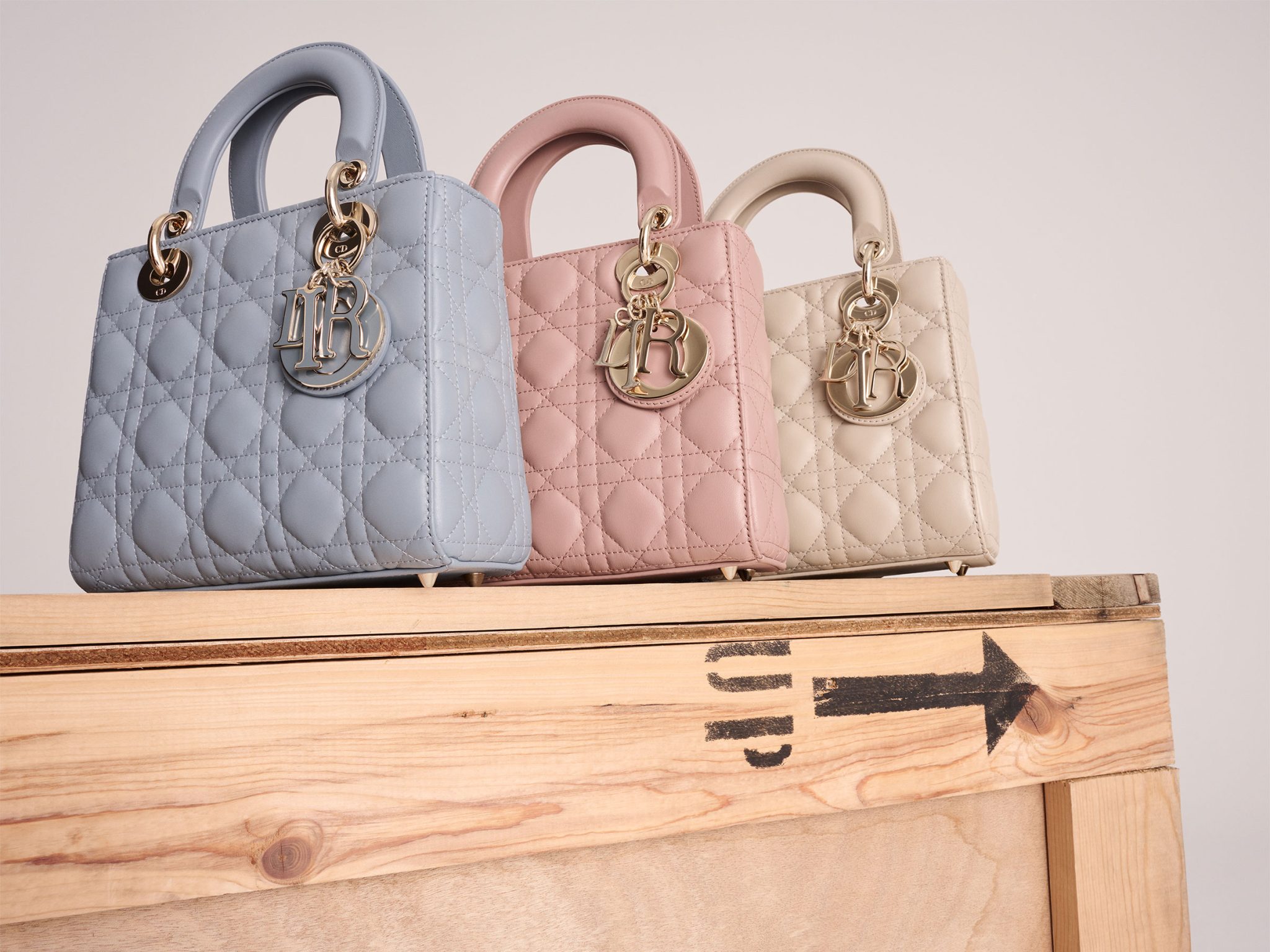 Dior Bag Features and Reviews - PurseBlog