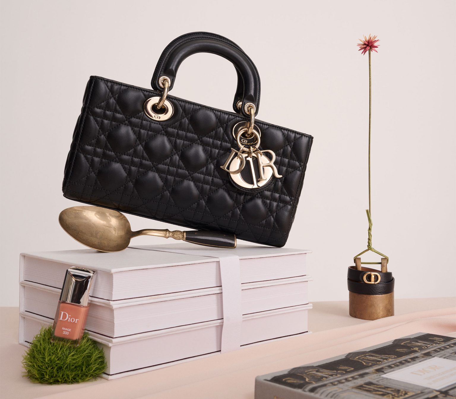 The Everlasting Appeal of Dior’s Statement Bags - PurseBlog