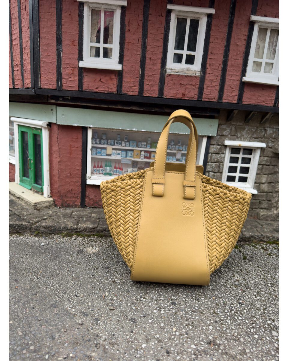 The Loewe Amazona Goes East/West For Pre-Fall 2024 | PurseBlog