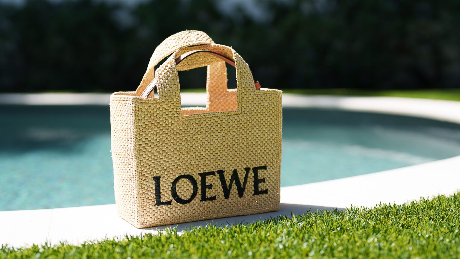 5 Reasons to Buy a Loewe Bag - PurseBlog