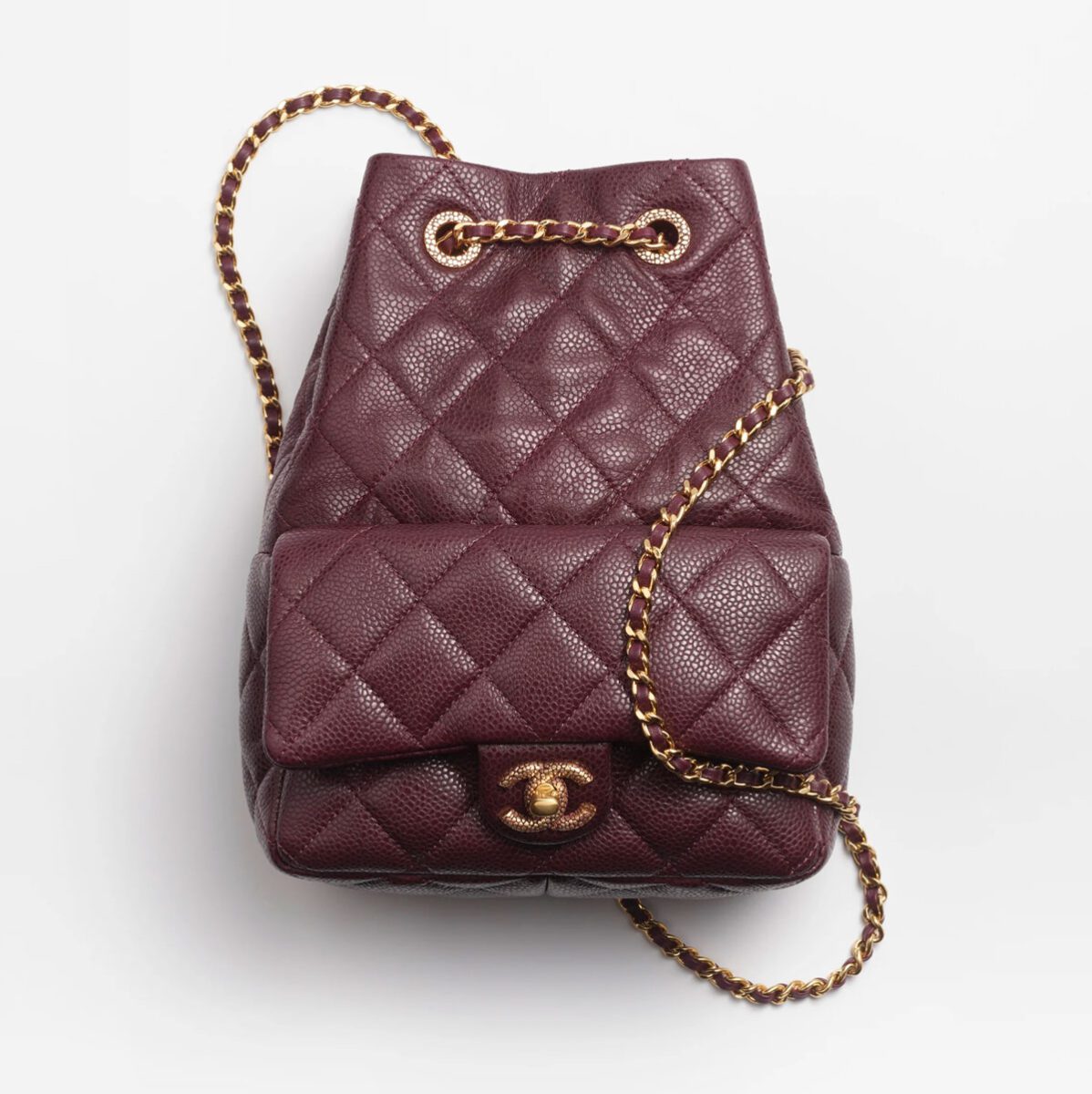 Our 14 Favorite Chanel Pre-Collection Fall 2024 Bags - PurseBlog