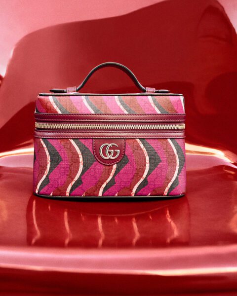 Gucci Commemorates The Year Of The Snake With A Special Capsule ...