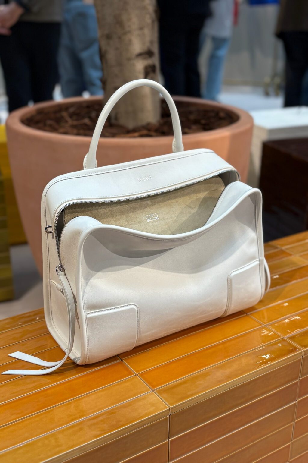 Jack McCollough And Lazaro Hernandez Reimagine The Iconic Loewe Amazona ...