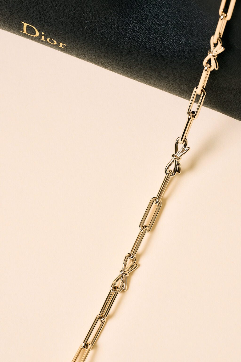 Your First Look At The Stunning New Bags For Jonathan Anderson's Dior ...